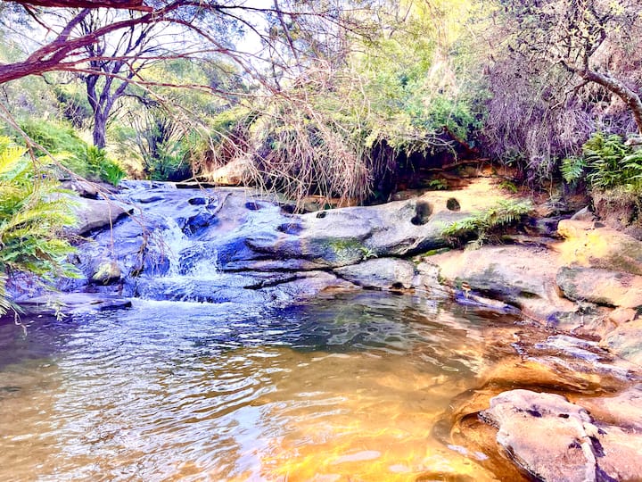 Brookglen Retreat - 

“An Escape To Paradise” - Wentworth Falls