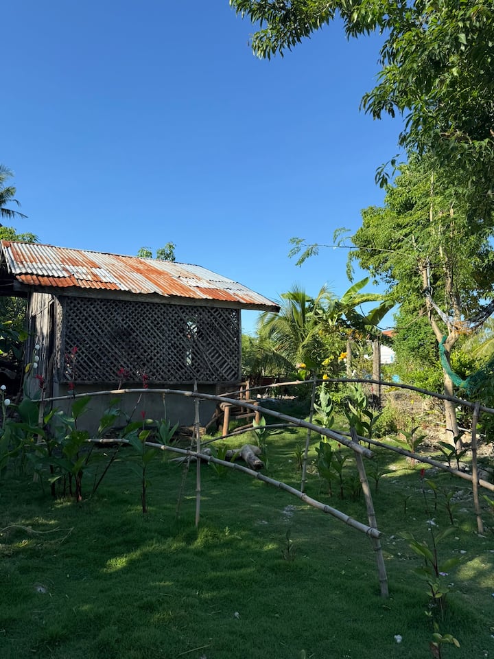 The Organic House - Dumanjug