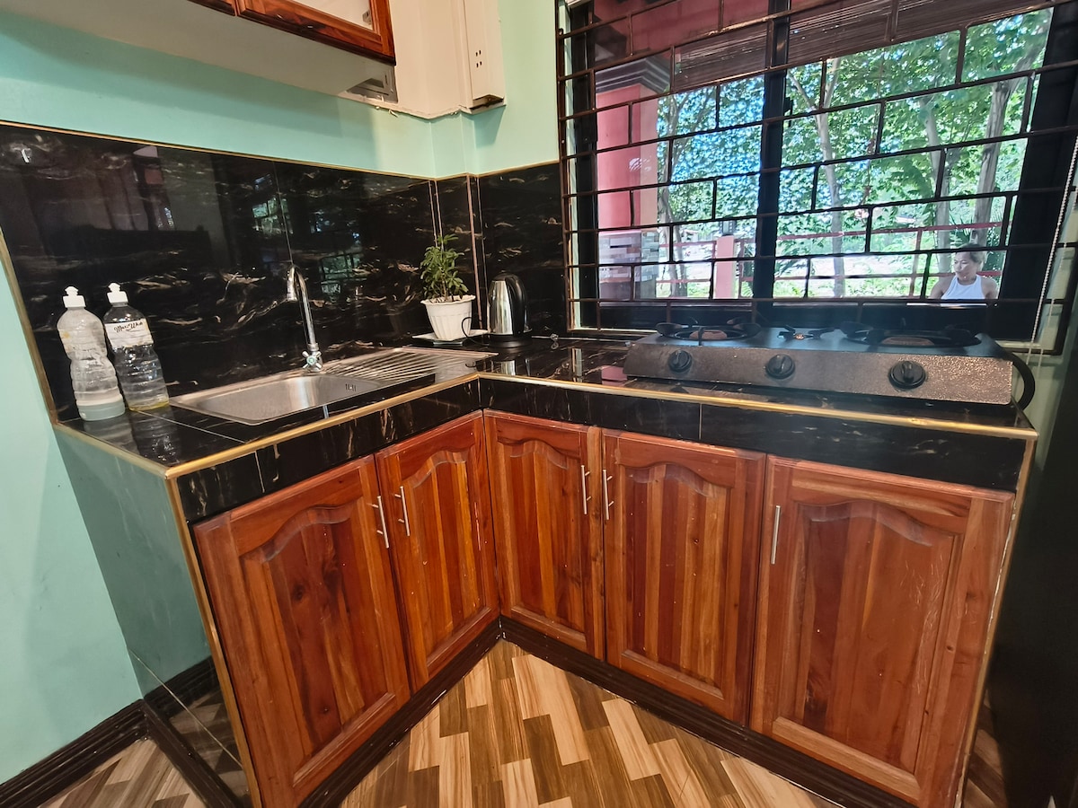 Little Apple near Paliton Beach - Flats for Rent in San Juan, Central ...