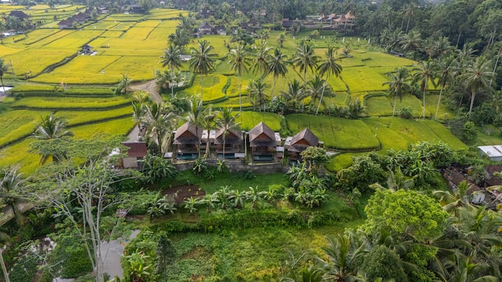 Private Pool Villa In Middle Of Sebatu Ricefield - Indonésie