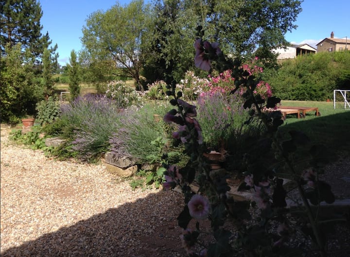 Maison Traditionnelle Beaujolais - Belleville, France