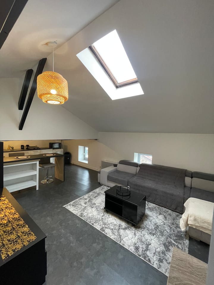 Passez Votre Séjour à Lyon En Toute Tranquillité - Miribel