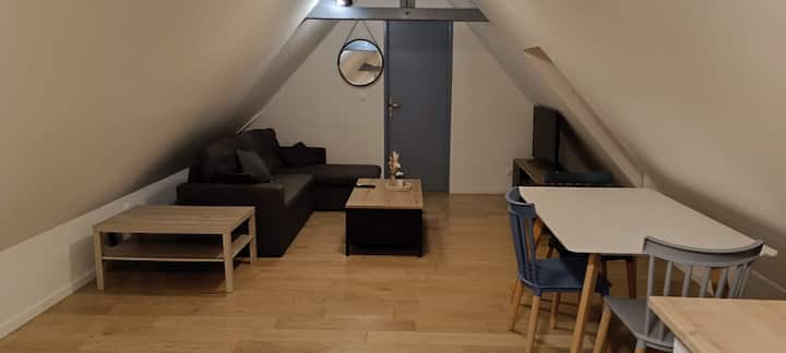 Charmant T2 Cosy Avec Parking Proche Commerces. - Orthez