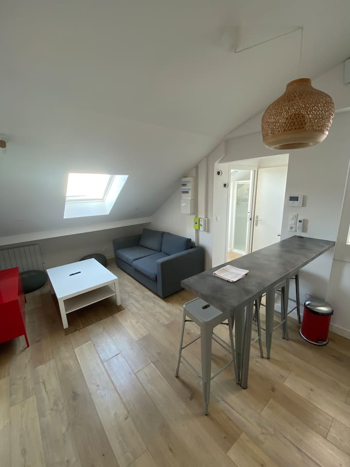 2 Chambres Centre-ville Clermont-ferrand Climatisé - Clermont-Ferrand