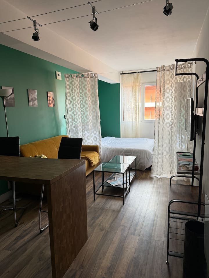 Centre-ville Proche Lac Léman Et Embarcadère - Évian-les-Bains