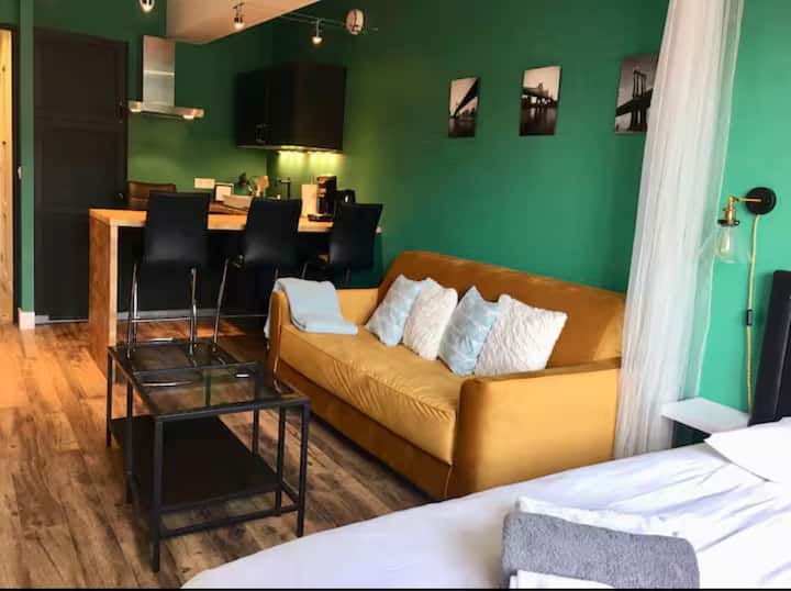 Centre-ville Proche Lac Léman Et Embarcadère - Évian-les-Bains