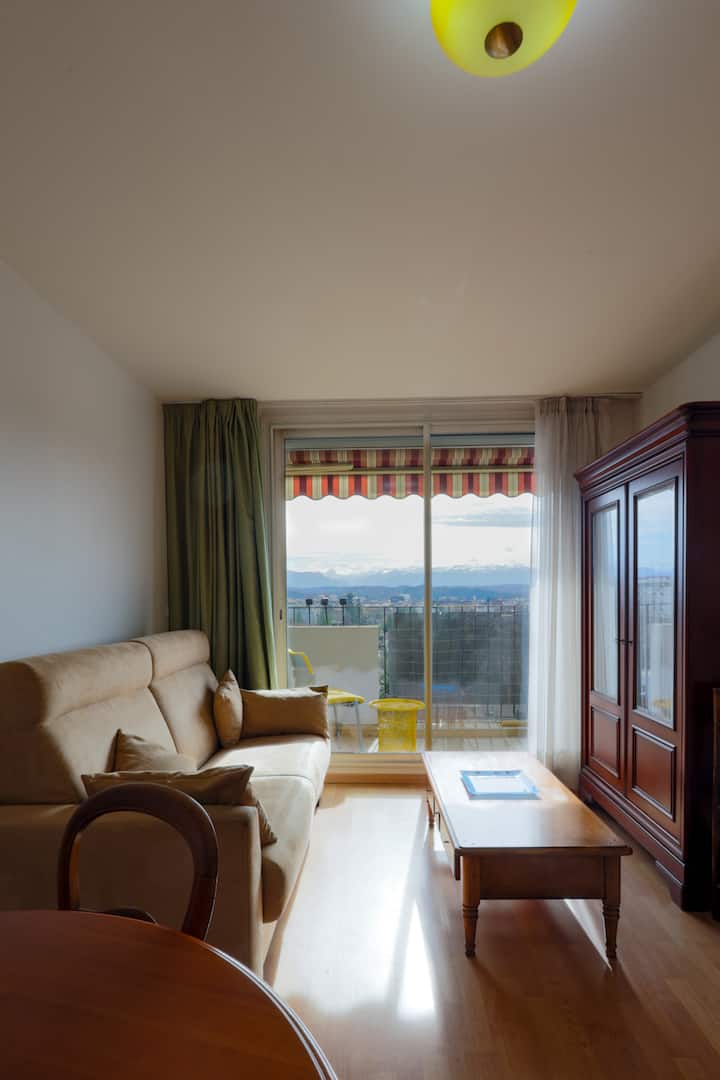 Magnifique Vue Sur Les Pyrénées-atlantiques. - Pau