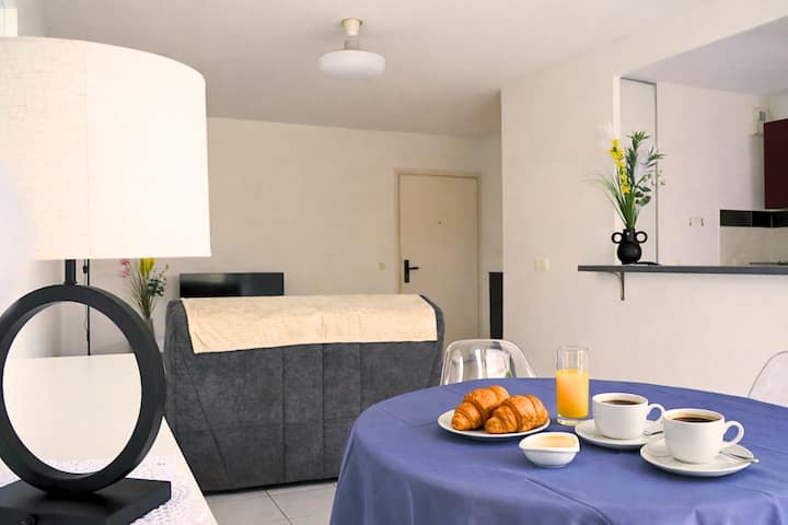 T2 Avec Parking Et Terrasse Proche Zénith Et Stade - Toulouse