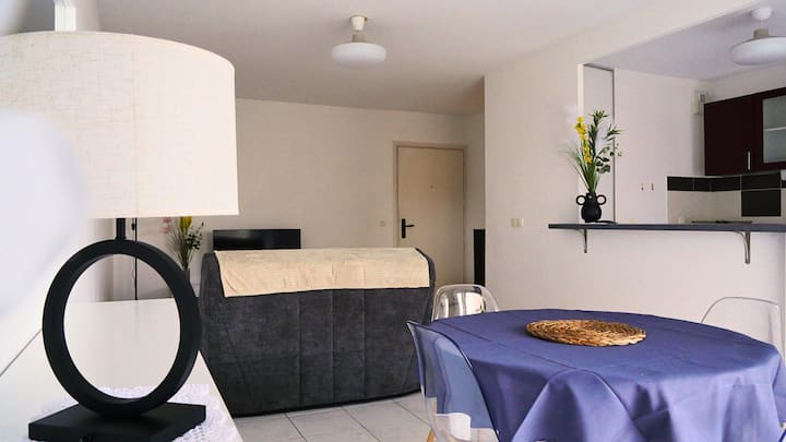 T2 Avec Parking Et Terrasse Proche Zénith Et Stade - Blagnac