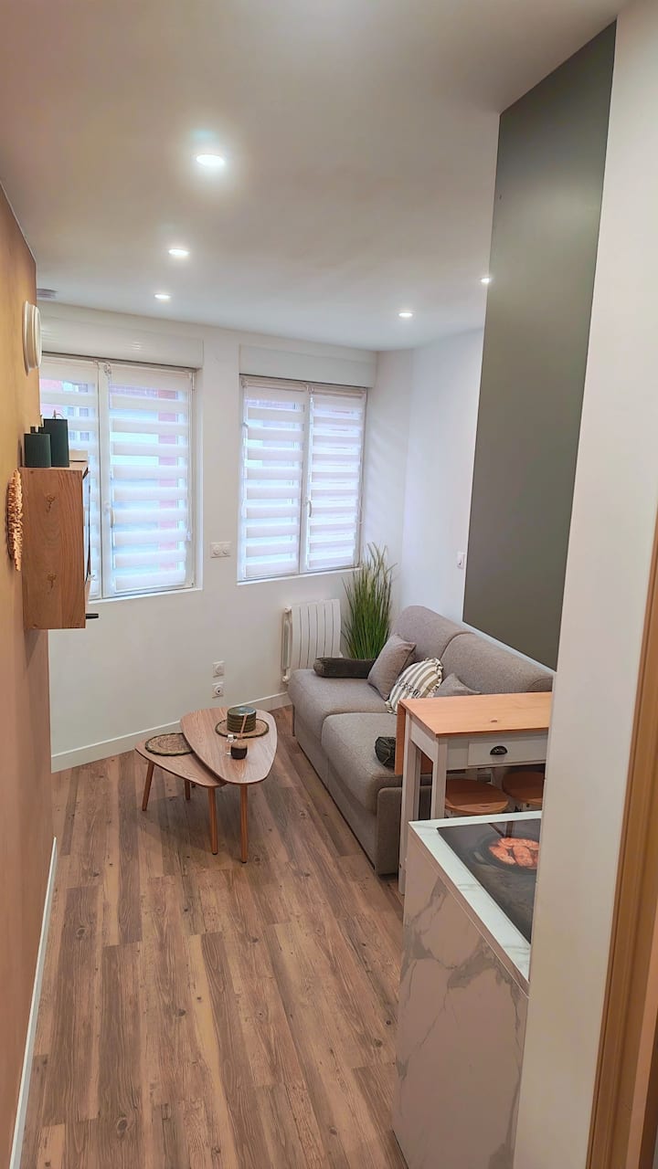 L'écrin Du Valenciennois - Valenciennes