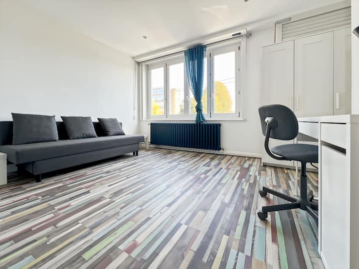 Chambre Meublée Proche Chu Lille - Lille
