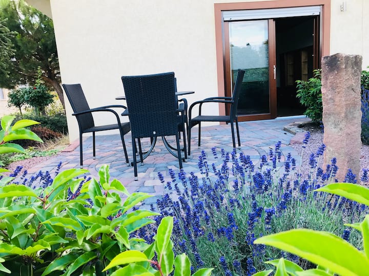 Wohnen Beim Weingut - Maikammer