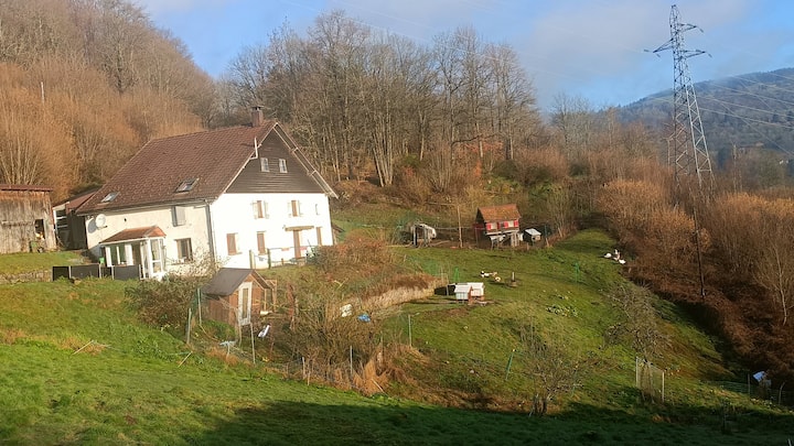 Ferme Traditionnelle " La Goutte Du Fneu " - Vosges