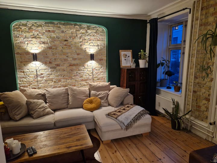 100 Sqm Cozy And Spacious Apartment In City Center - Copenhagen Airport (CPH)