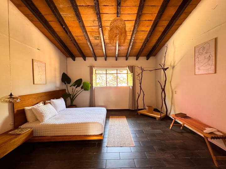 Habitaciónnatural A 3 Cuadras Caminando Del Centro - Mexico