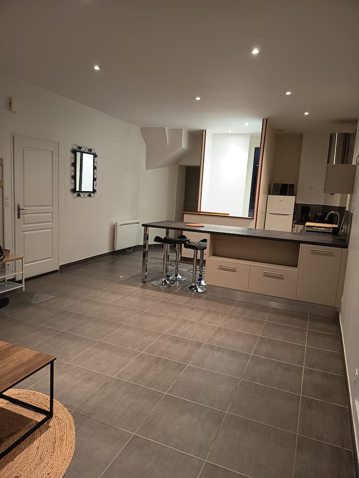 Appartement Centre-ville Laval - Laval, France