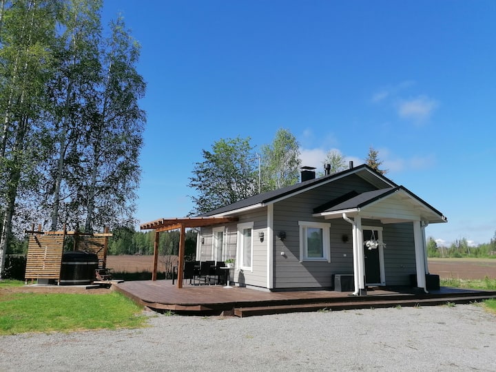 Villa Aholinna - Pomarkku