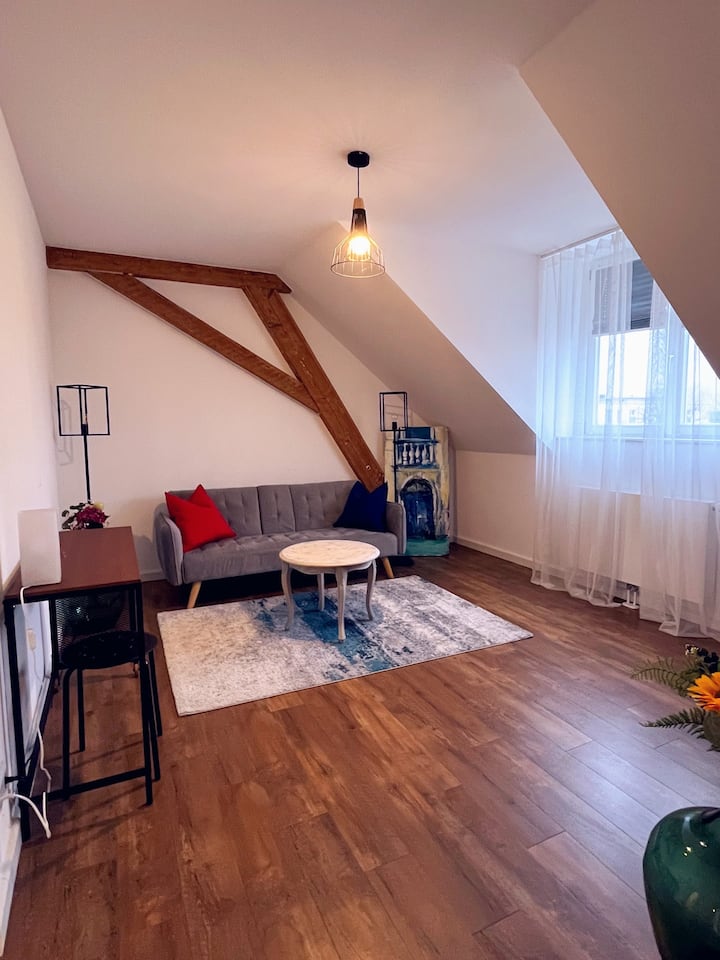 Stilvolles Dachgeschoss Mit Geschichte Haus 60 Dg - Offenburg