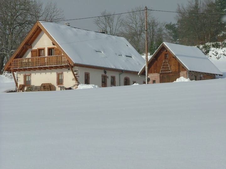 Gîte Dans Une Prairie ! - Lapoutroie