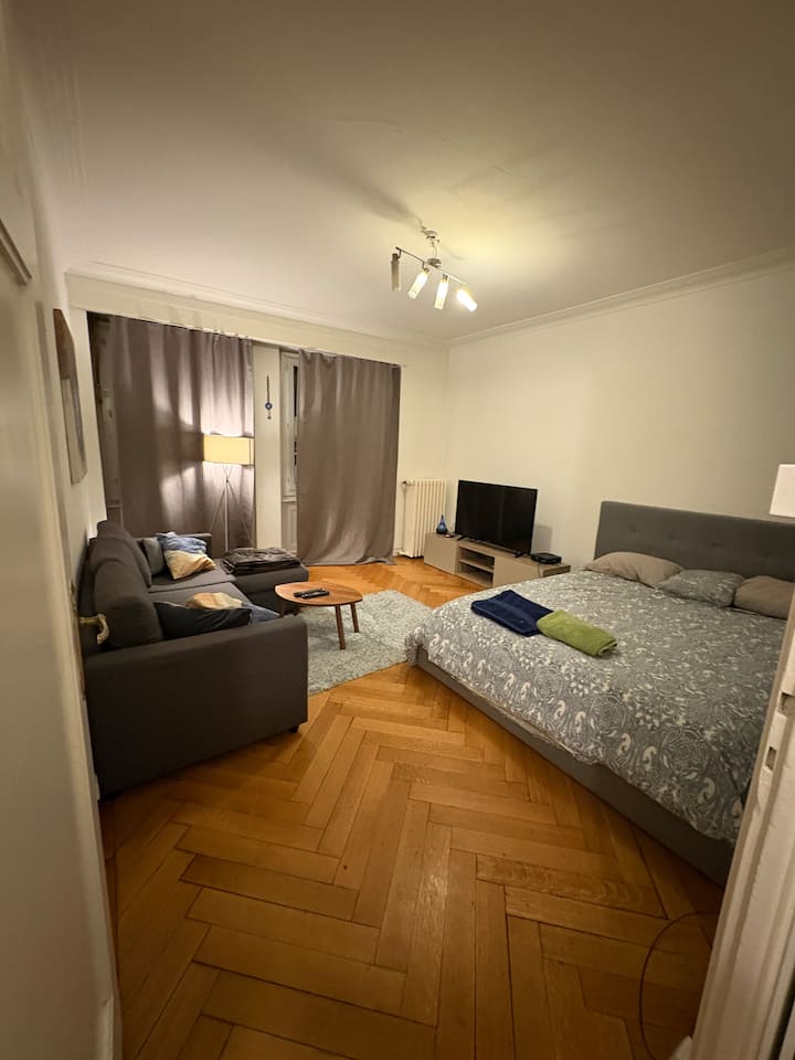 Appartement Deux Pièces Centre-ville - Geneve