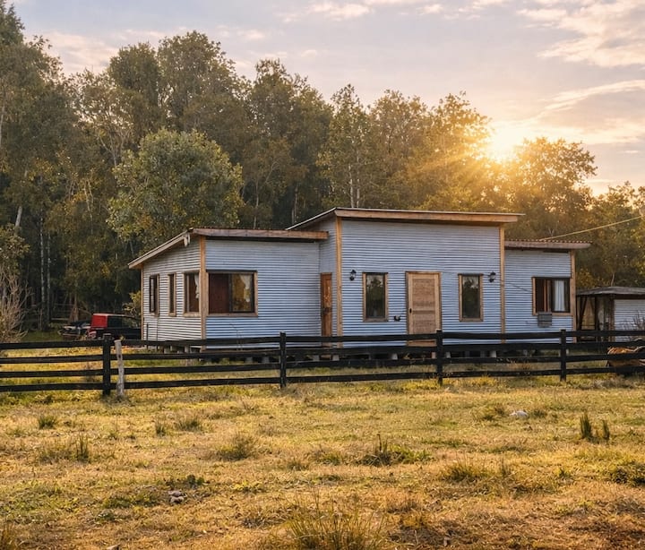 Cabaña En El Bosque A Minutos Del Lago Ranco - Los Ríos