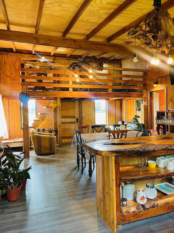 Cabaña En El Bosque A Minutos Del Lago Ranco - Los Lagos