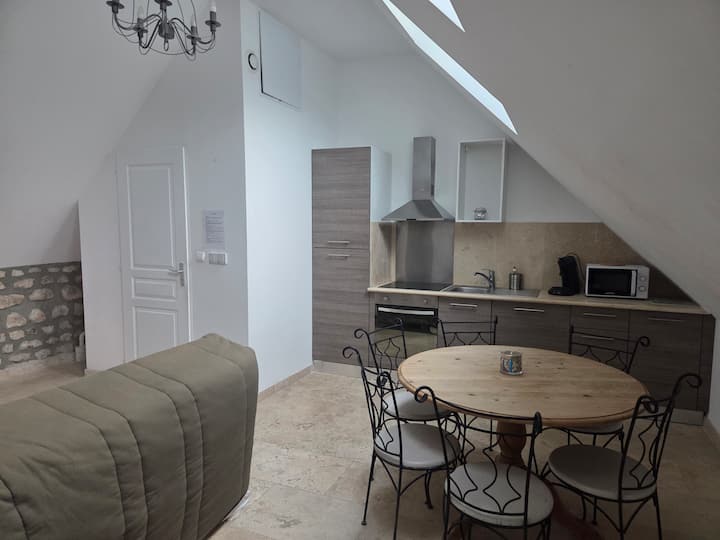 Nid Douillet "Hirondelle" - Souppes-sur-Loing