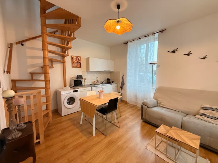 Duplex Lumineux & Cosy, Centre-ville Saint-gaudens - Saint-Gaudens