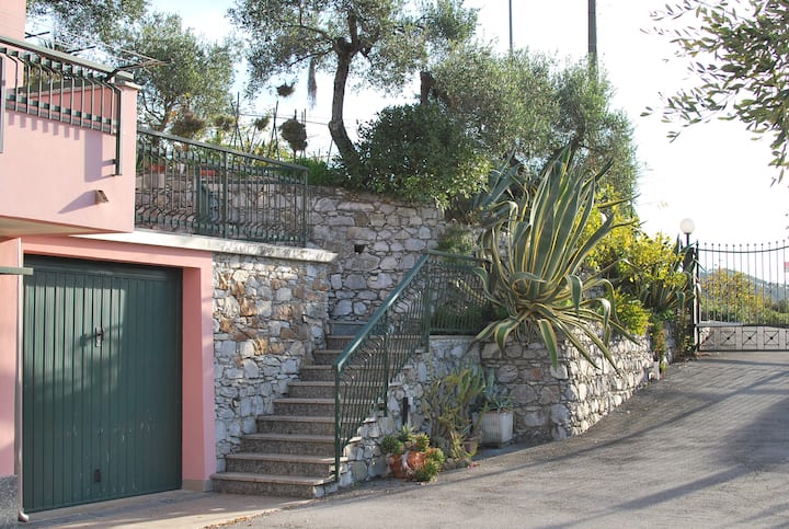 La Casa Dei Limoni - Moneglia