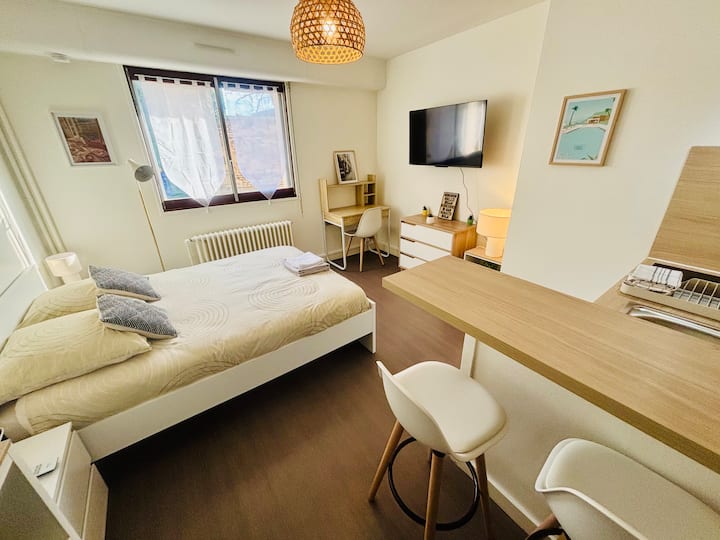 Studio Premium - Hypercentre Poitiers - ibis Styles Poitiers Nord