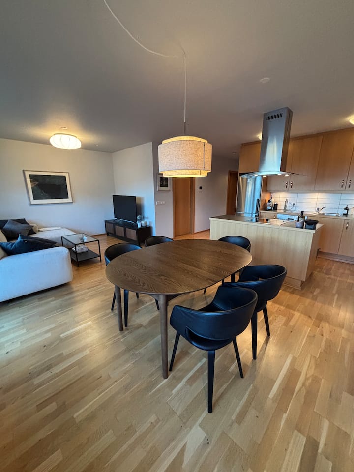 Modern One Bedroom Apartment Central Hafnarfjörður - Iceland