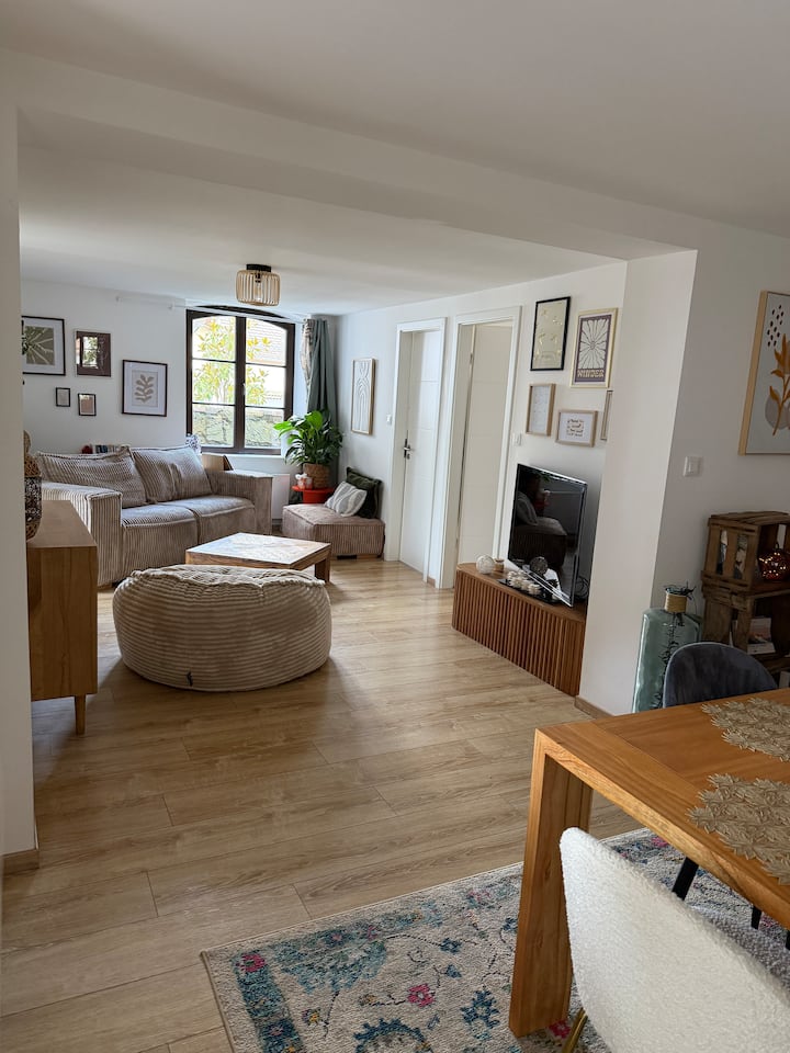 Appartement Cosy Et Central - Rosheim