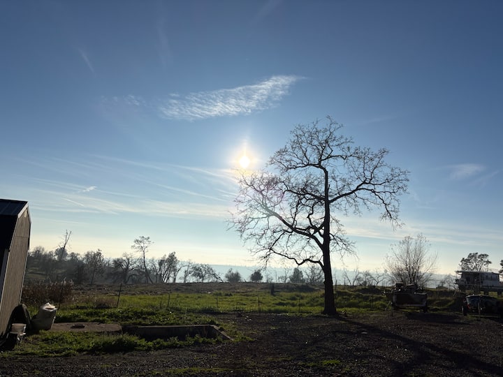 Peaceful Rv Getaway Close To Lime Saddle Marina - 天堂