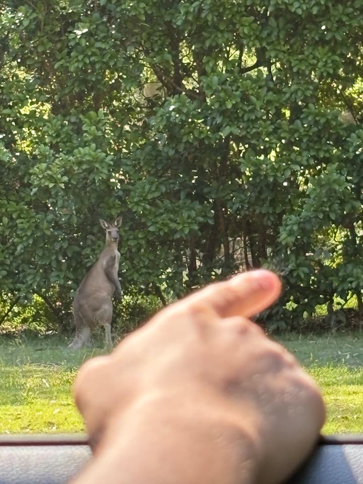 Ak Retreat - Tamborine Mountain