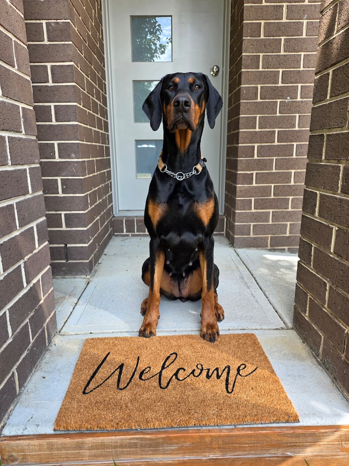 The Ferns - Trafalgar