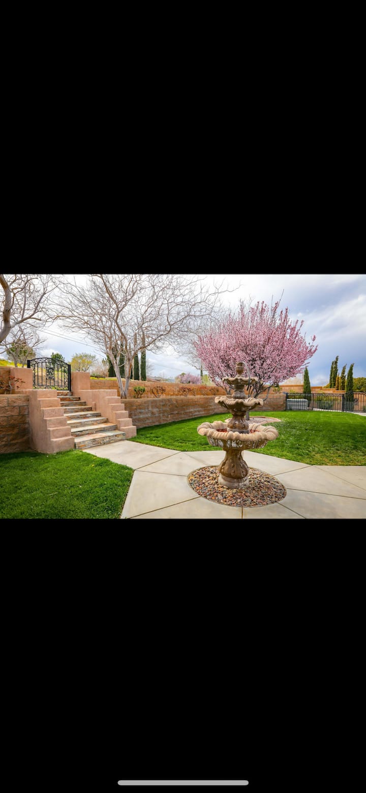 Rare Oasis - Palmdale