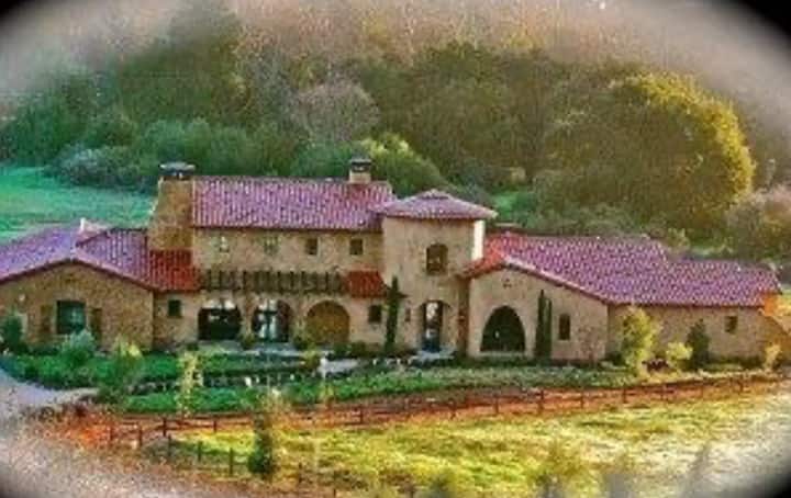 Executive Spanish Style Super Bowl Vacation Home - Gilroy, CA