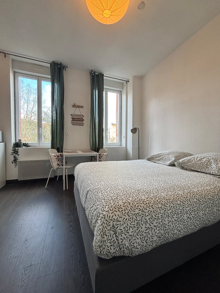La Pepite De Brienne - Cosy Studio Toulouse Centre - Toulouse
