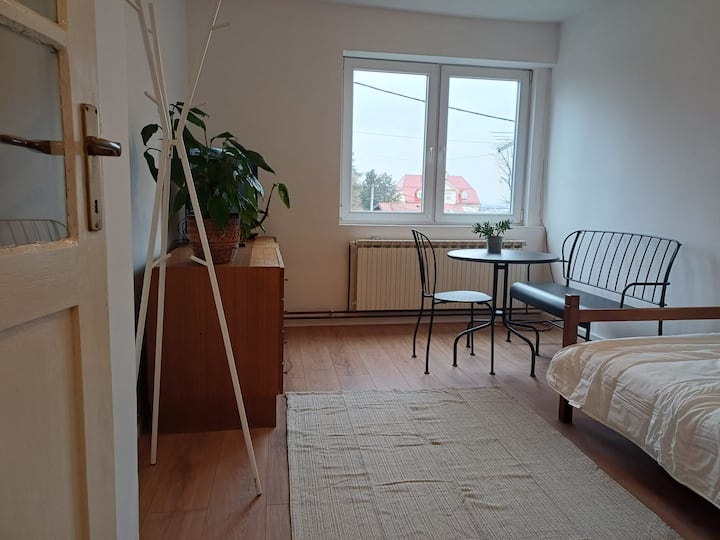 Fašnik Special - Apartment 5 Min From Main Square - Samobor