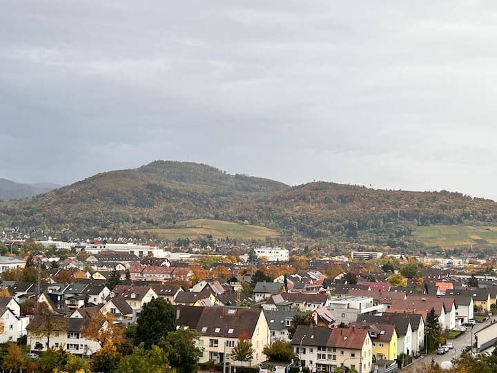 Bright Freiburg Apart With Mountain View - Februar - Freiburg im Breisgau