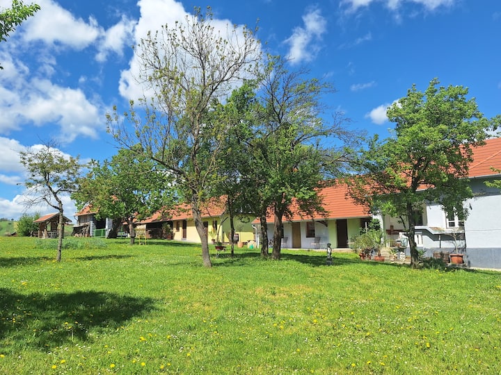 Bunte Villa – Natur-idylle Mit Privatem Badesee - Hungary