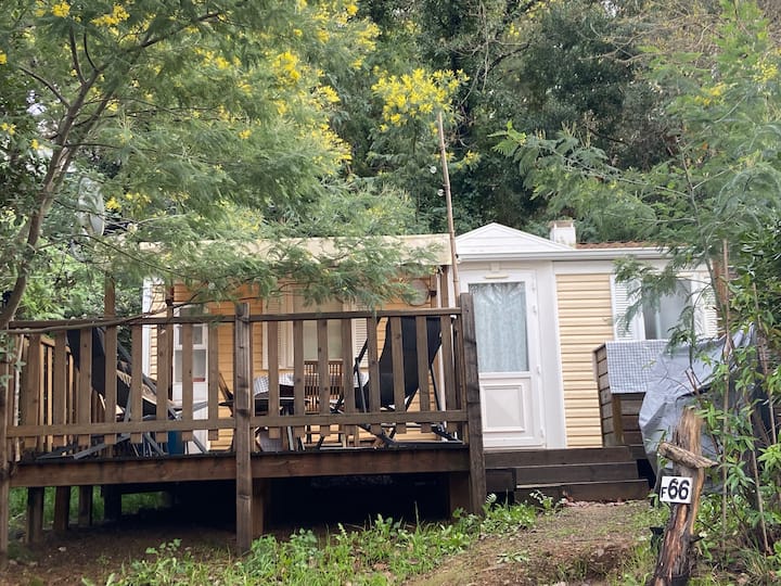 Bungalow Parc De Vacances - Gassin