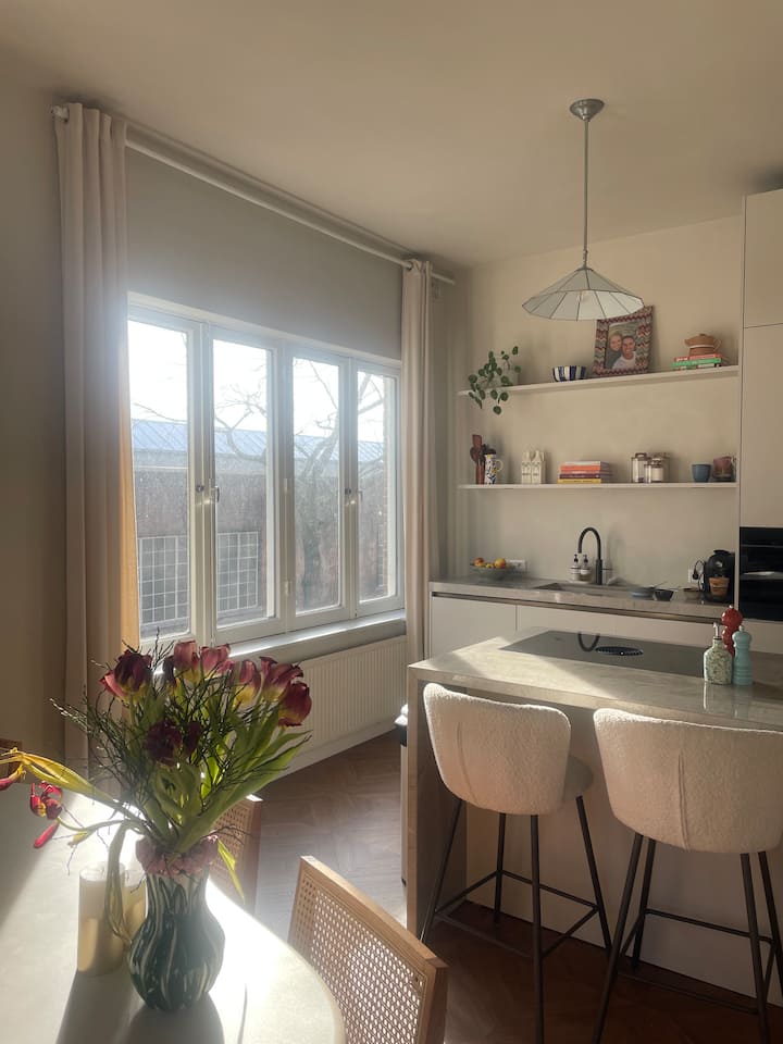 Elegent Bedroom Apartment With Amstel View - Amsterdam