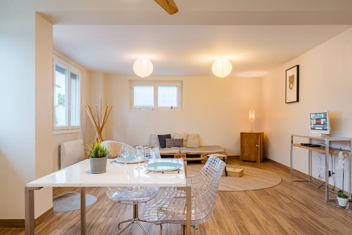 Maison Avec Jardin Proche Airbus, T2 Parking Wifi - Tournefeuille