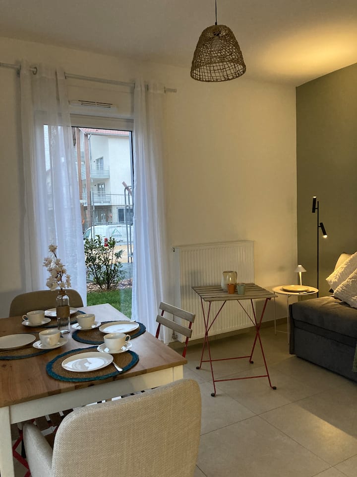 Spacious 55 M2 Apartment Close To Cern-geneva-un - Ferney-Voltaire