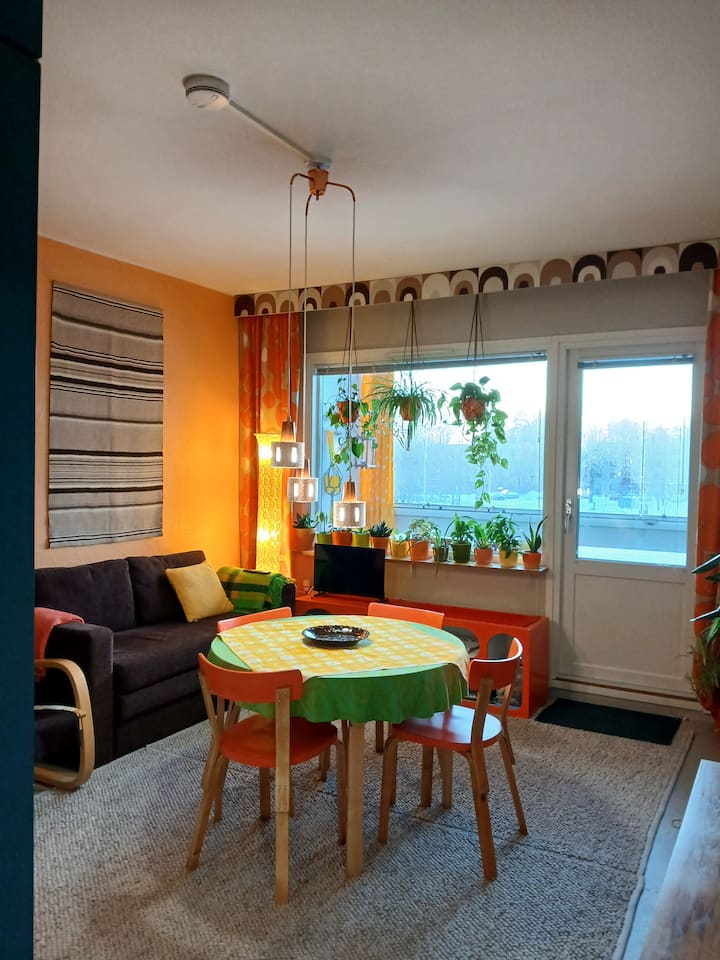 Mummola, Värikäs Ja Kodikas Yksiö. Free Parking. - Hattula