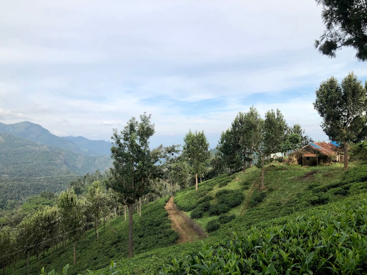 Ellem - Mettupalayam