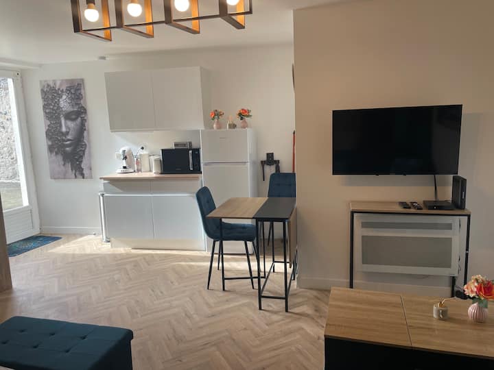 Studio Cosy Rdc Avec Parking, Commerces à Pied - Orthez