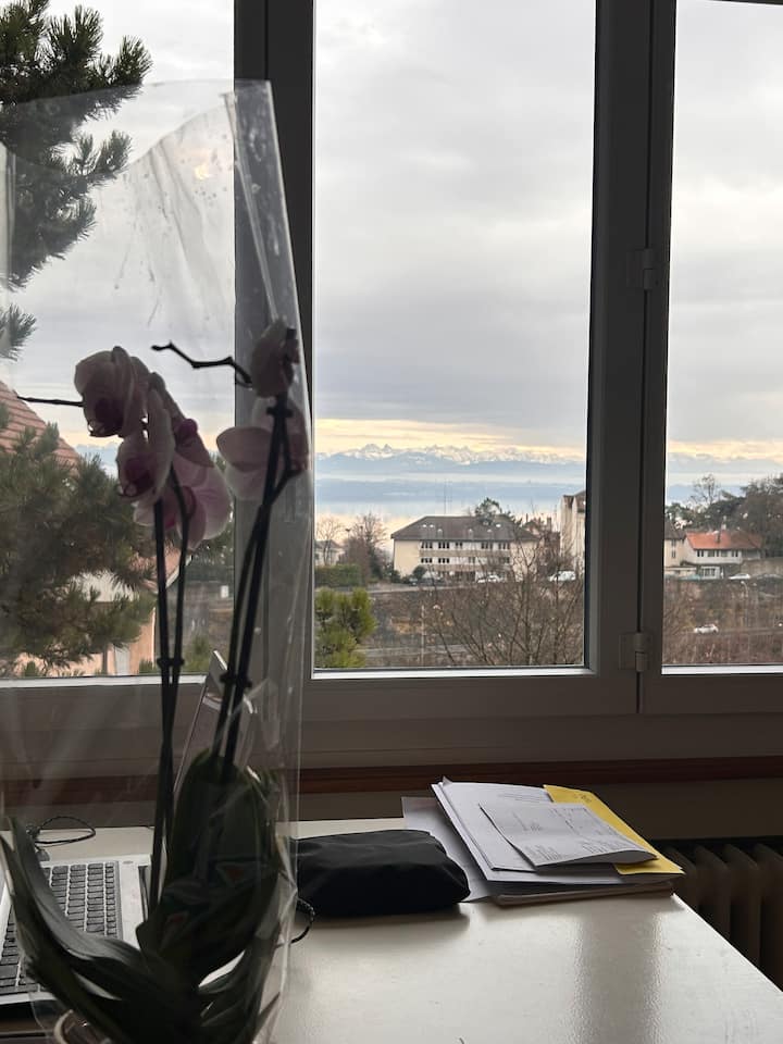 Grande Chambre Vue Lac Proche Du Centre/lac/gare - Neuchâtel