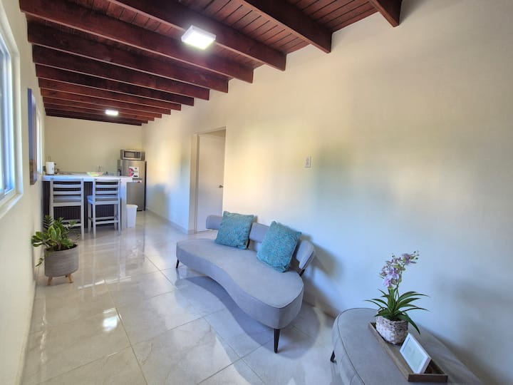 Aruba's Escape - Aruba